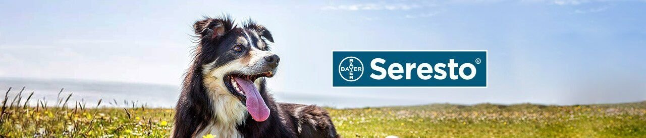 SERESTO Flea & Tick Collar for Dogs, over 18-lbs, 1 Collar (8-mos ...