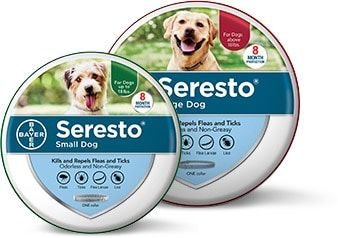 SERESTO Flea & Tick Collar for Dogs, over 18-lbs, 1 Collar (8-mos ...