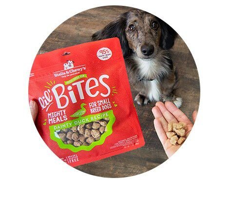 STELLA & CHEWY'S Lil' Bites Itty Bitty Beef Recipe Small Breed Freeze ...