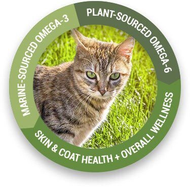 TASTE OF THE WILD Rocky Mountain All Life Stages High Protein Grain ...