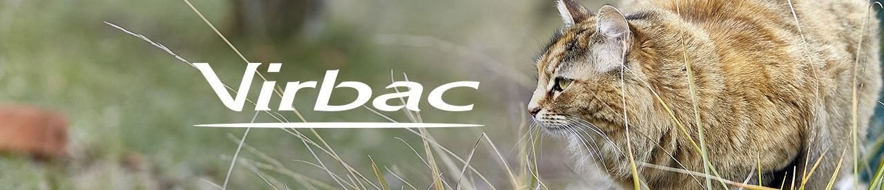 VIRBAC EFFIPRO Flea & Tick Spot Treatment for Cats, over 1.5 lbs, 6 ...