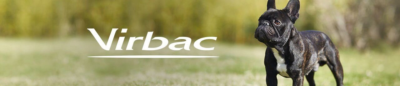 VIRBAC Knockout E.S. Area Treatment Spray, 16-fl oz can - Chewy.com