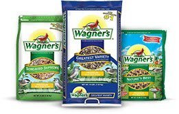 WAGNER'S Nyjer Seed Premium Wild Bird Food, 10-lb bag - Chewy.com