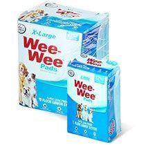 Four Paws Wee-Wee Dog Grass Patch Tray, Small, 1 count - Chewy.com