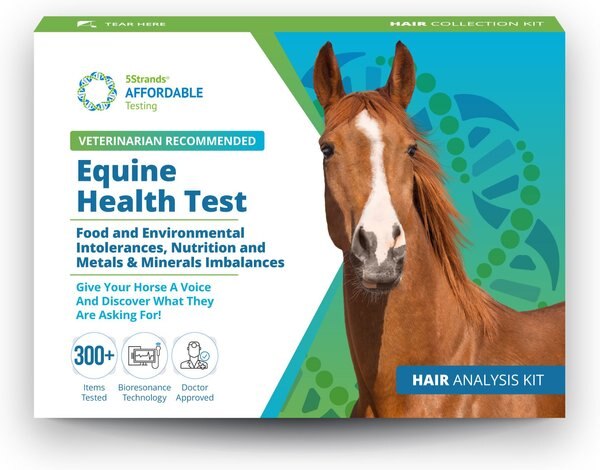 5STRANDS Equine Health Test for Horse - Chewy.com