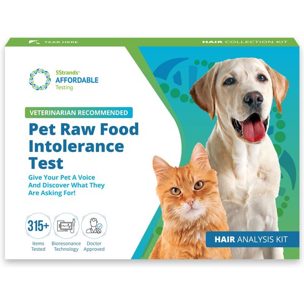 5STRANDS Food Intolerance Test for Dog, Cat & Small Pet - Chewy.com
