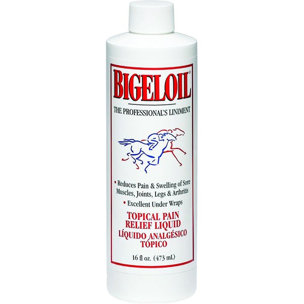 ABSORBINE Bigeloil Topical Rub for Sore Muscles, Joints & Arthritis ...