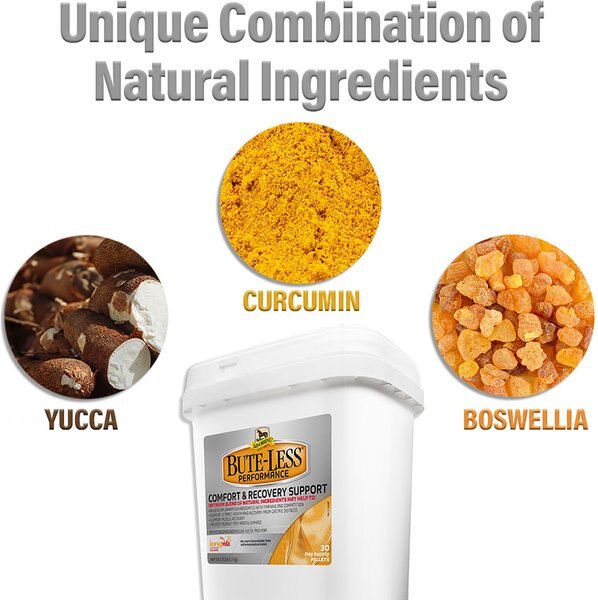 ABSORBINE Bute-Less Performance Healthy Inflammatory Response Horse ...