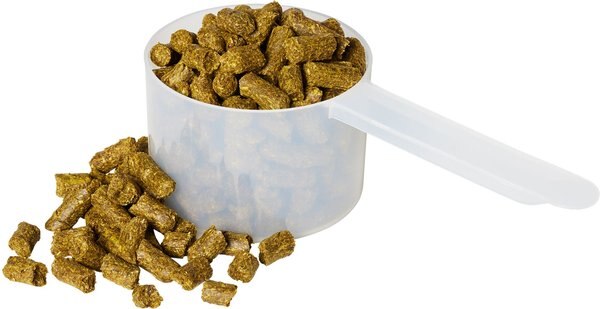 ABSORBINE Bute-Less Performance Healthy Inflammatory Response Horse ...