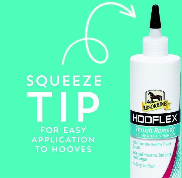 ABSORBINE Hooflex Thrush Remedy Bactericidal & Fungicidal Horse Thrush ...