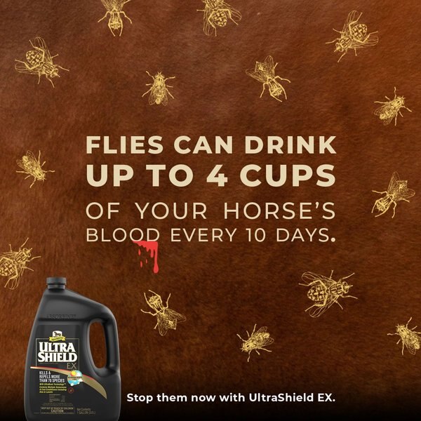 ABSORBINE UltraShield EX Insecticide, Kills & Repels Horse Fly Spray ...