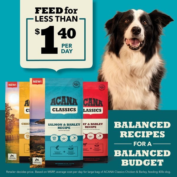 ACANA Classics Beef & Barley Recipe Dry Dog Food, 4-lb bag - Chewy.com