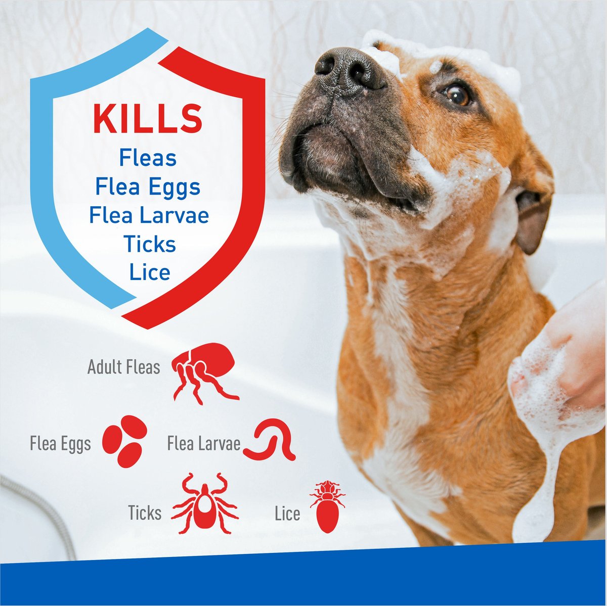 ADAMS Plus Flea & Tick Shampoo Sensitive Skin for Cats & Dogs, 6-fl oz ...