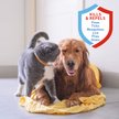 ADAMS Plus Pyrethrin Dip for Dogs & Cats, 4-fl oz bottle - Chewy.com