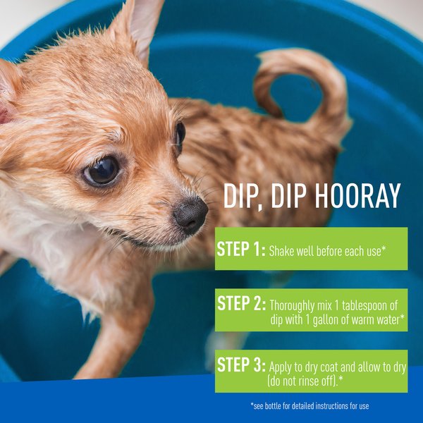 ADAMS Plus Pyrethrin Dip for Dogs & Cats, 4-fl oz bottle - Chewy.com