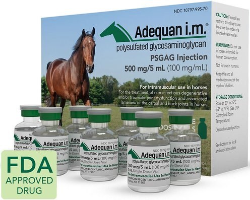 Anti-Inflammatory Medication For Horses | Chewy