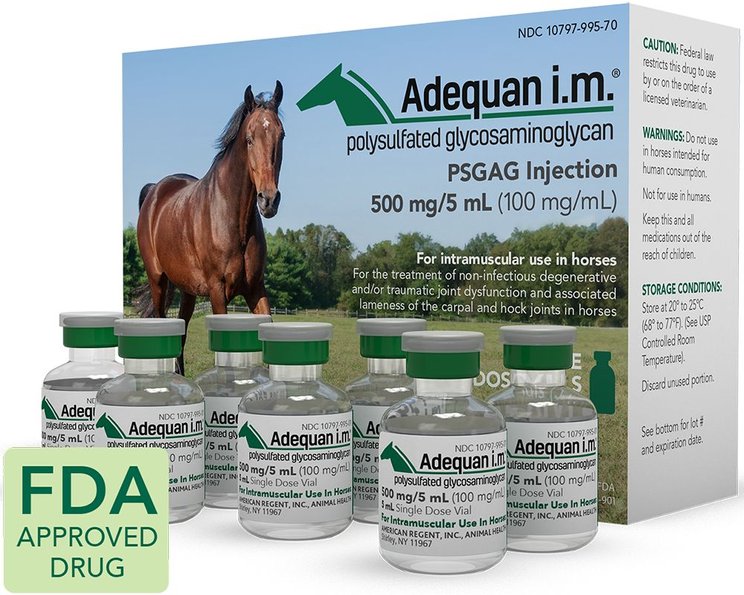 Anti-Inflammatory Medication For Horses | Chewy