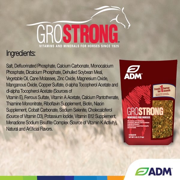 ADM GROSTRONG Granules Horse Supplement, 5-lb bag - Chewy.com