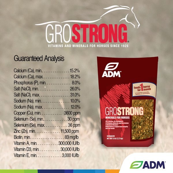 ADM GROSTRONG Granules Horse Supplement, 5-lb bag - Chewy.com