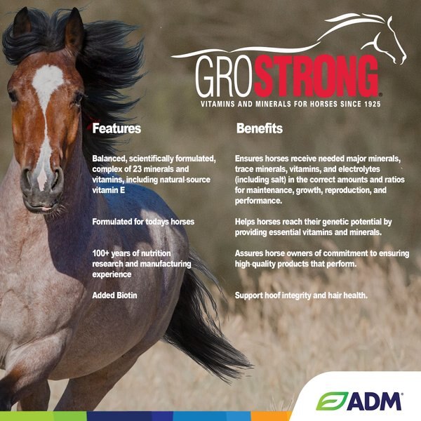 ADM GROSTRONG Granules Horse Supplement, 5-lb bag - Chewy.com