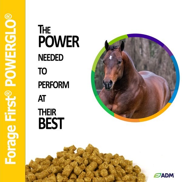 ADM POWERGLO Forage First Premium Nutrition Performance Horse Feed, 50 ...