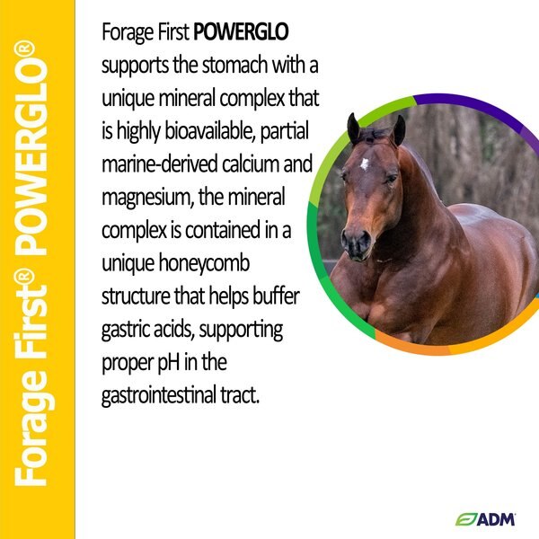 ADM POWERGLO Forage First Premium Nutrition Performance Horse Feed, 50 ...