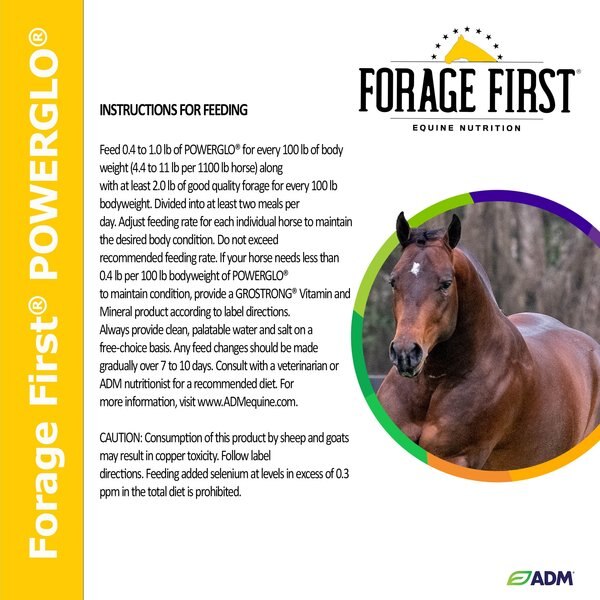 ADM POWERGLO Forage First Premium Nutrition Performance Horse Feed, 50 ...