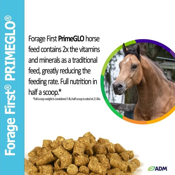 ADM PRIMEGLO Forage First Premium Nutrition Mature Horse Feed, 50-lb ...