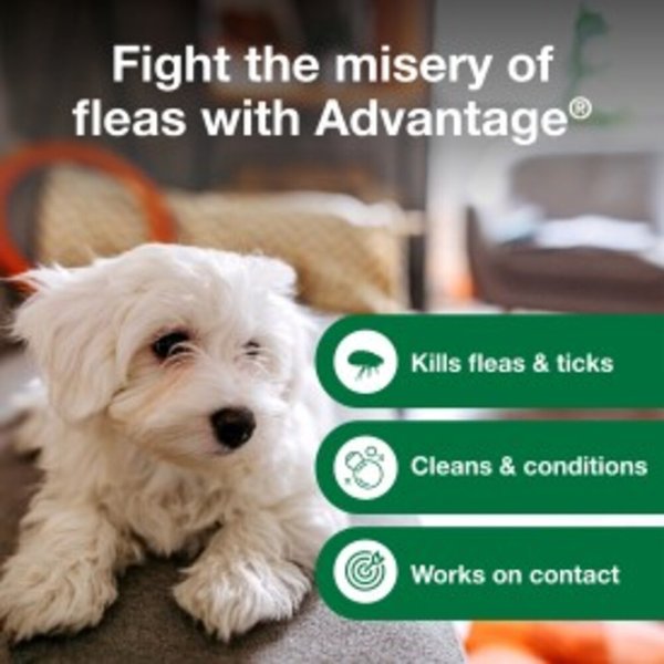 ADVANTAGE Flea & Tick Treatment Shampoo for Dogs & Puppies, 12-fl oz ...