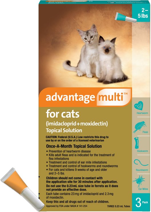 Advantage Multi - Free shipping | Chewy