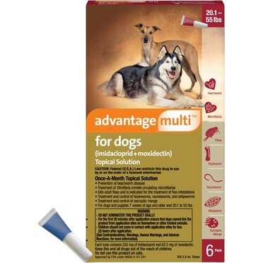 Advantage Multi - Free shipping | Chewy