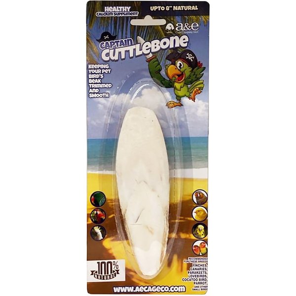 A&E CAGE COMPANY 8-in Natural Cuttlebone Bird Treats - Chewy.com