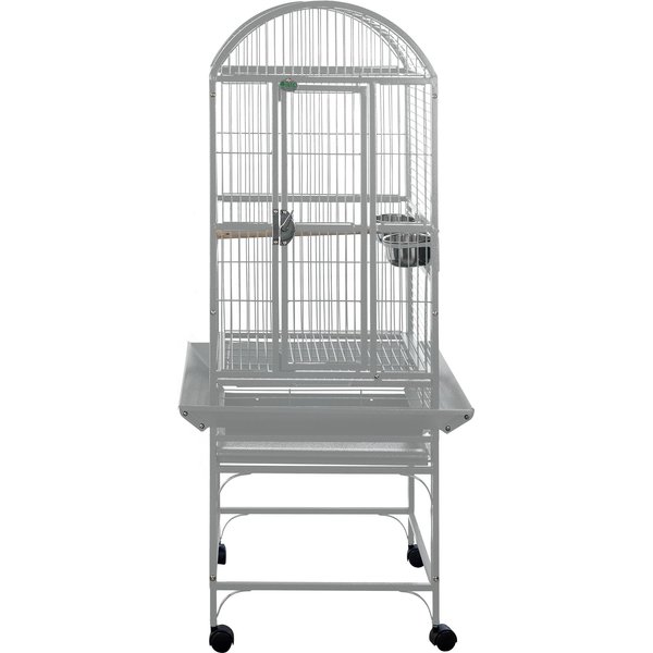 A&E CAGE COMPANY Play Top Bird Cage, Platinum, X-Small - Chewy.com