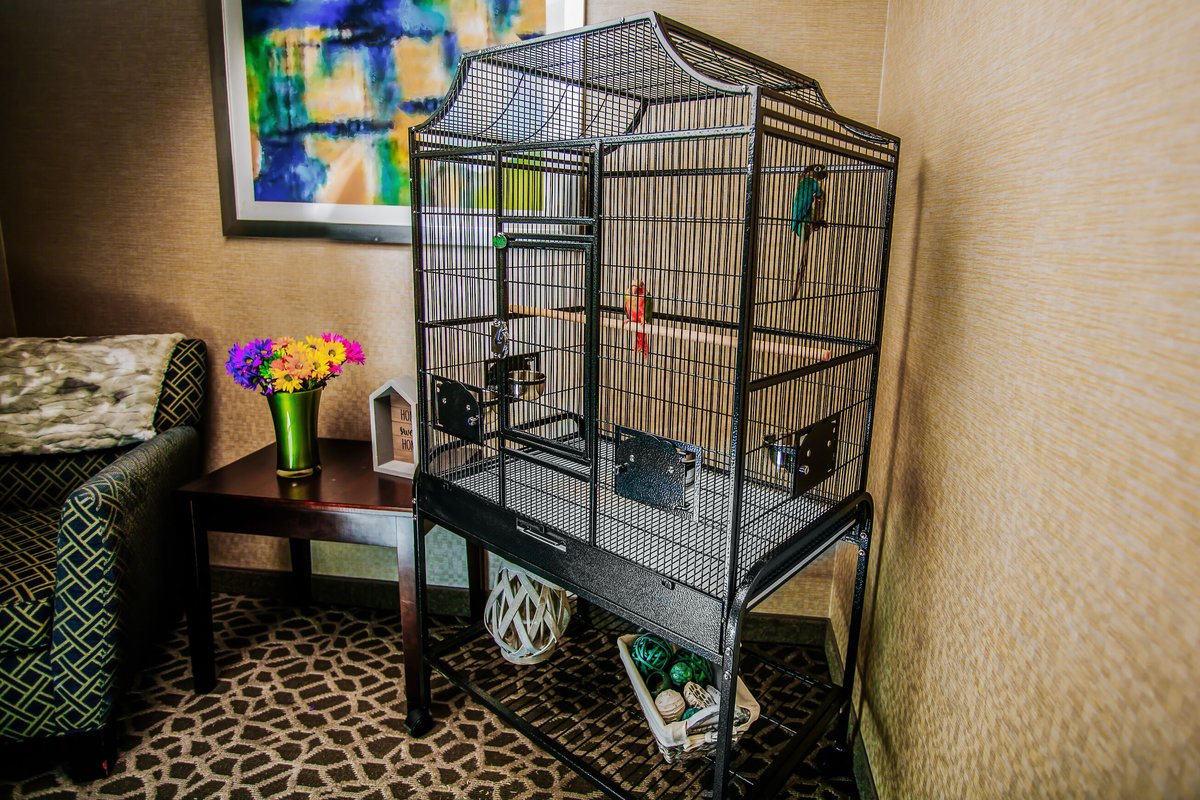 A&E CAGE COMPANY Elegant Style Flight Bird Cage, Sandstone, Medium ...