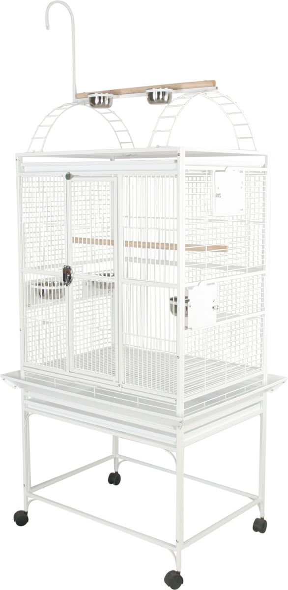 A&E CAGE COMPANY Play Top Bird Cage, White, Medium - Chewy.com