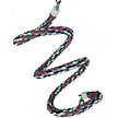 A&E CAGE COMPANY Rainbow Cotton Rope Boing Bird Toy - Chewy.com