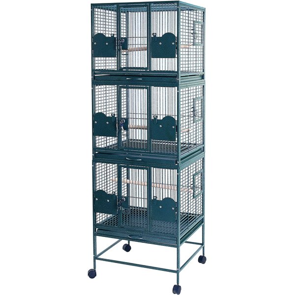 A&E CAGE COMPANY Extra Large Flight Bird Cage, Black - Chewy.com