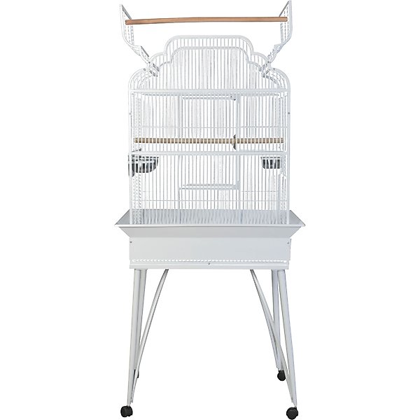 A&E CAGE COMPANY Extra Large Flight Bird Cage, Black - Chewy.com