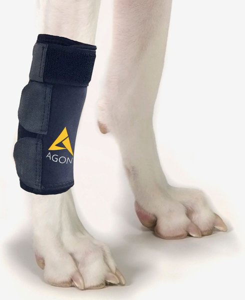 AGON Front Leg Brace & Wound Protection Paw Compression & Wrap for Dogs ...