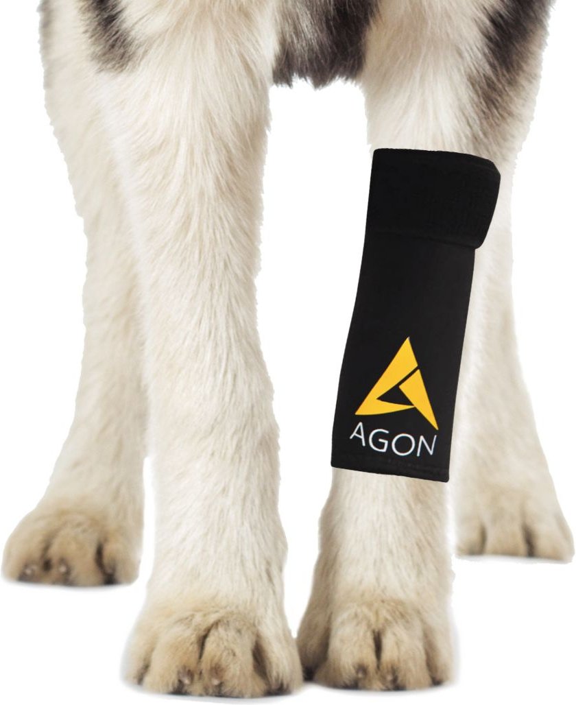 AGON Front Leg Brace & Wound Protection Paw Compression & Wrap for Dogs ...