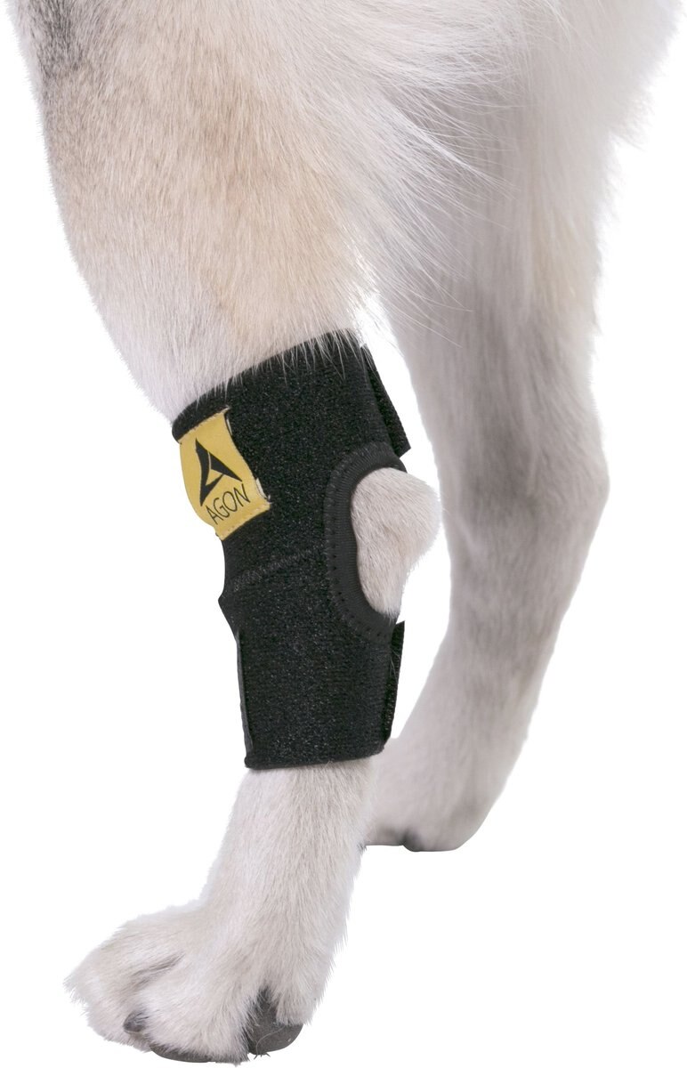 AGON Front Leg Brace & Wound Protection Paw Compression & Wrap for Dogs ...