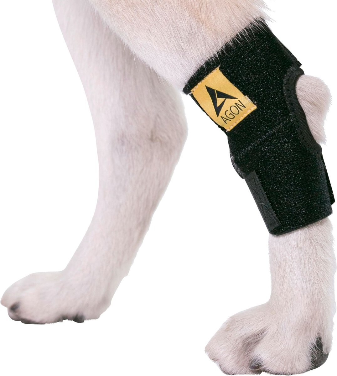 AGON Front Leg Brace & Wound Protection Paw Compression & Wrap for Dogs ...