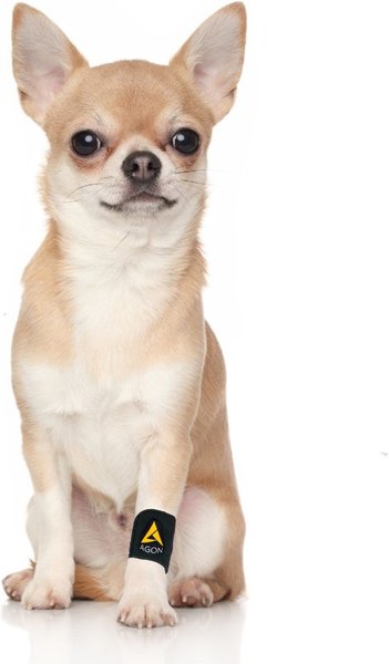 AGON Front Leg Brace & Wound Protection Paw Compression & Wrap for Dogs ...