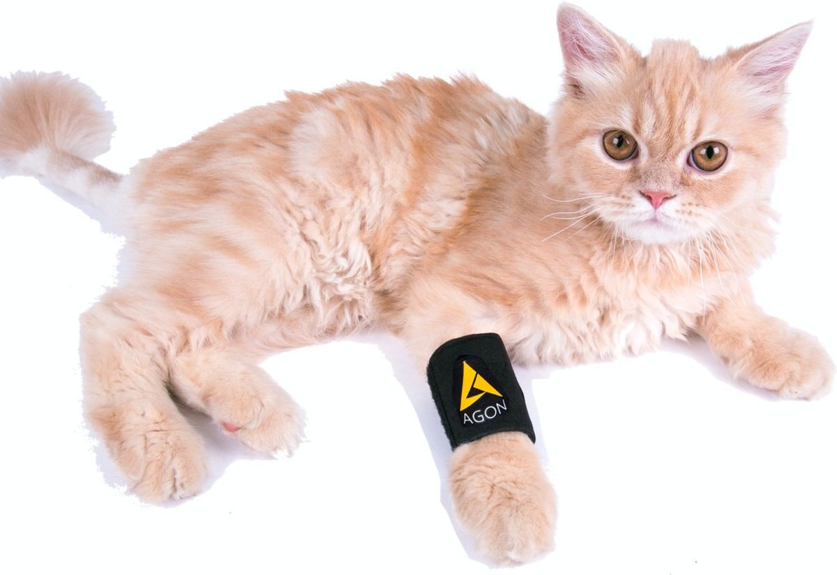 AGON Front Leg Brace & Wound Protection Paw Compression & Wrap for Dogs ...