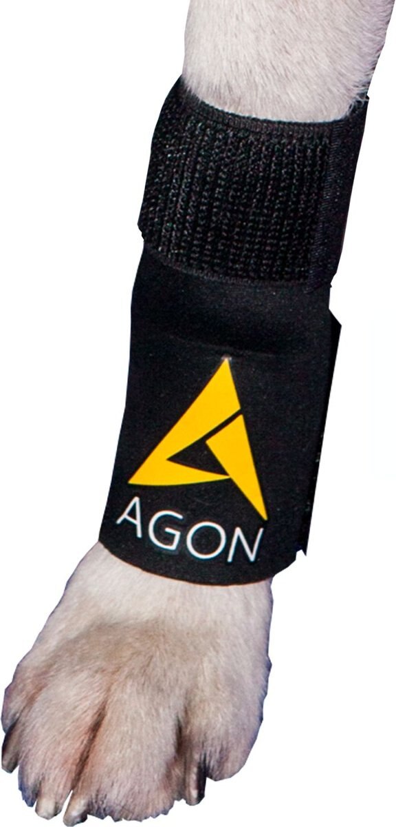AGON Front Leg Brace & Wound Protection Paw Compression & Wrap for Dogs ...