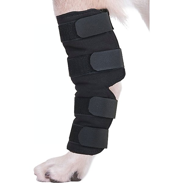 AGON Front Leg Brace & Wound Protection Paw Compression & Wrap for Dogs ...