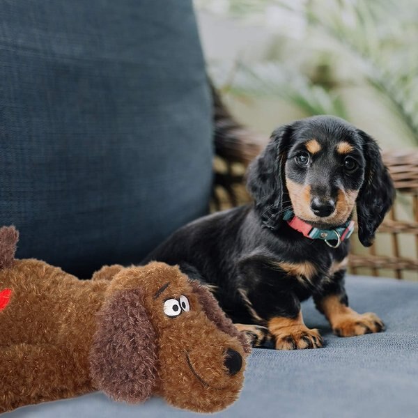 ALLFORPAWS Calming Pals Anti-Anxiety Plush Buddy Dog Toy, Brown - Chewy.com