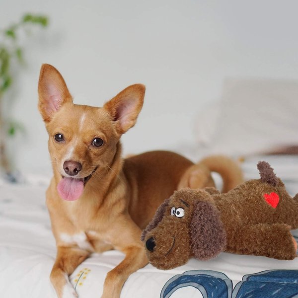 ALLFORPAWS Calming Pals Anti-Anxiety Plush Buddy Dog Toy, Brown - Chewy.com