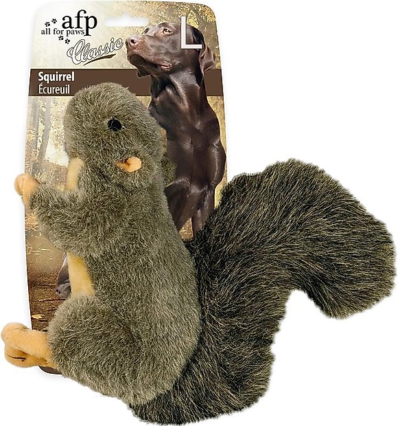 Squirrel Dog Toy (Free Shipping) | Chewy