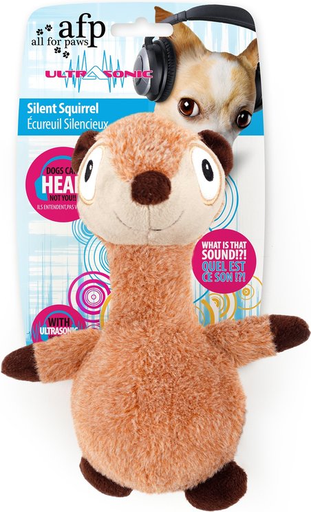 Squirrel Dog Toy (Free Shipping) | Chewy